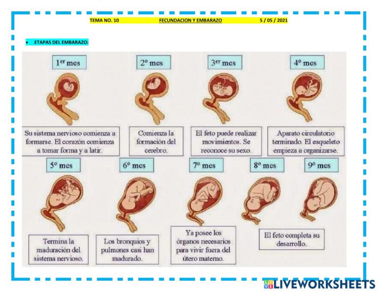 35 Semanas de Embarazo: Descubre todo lo que necesitas saber sobre esta etapa crucial