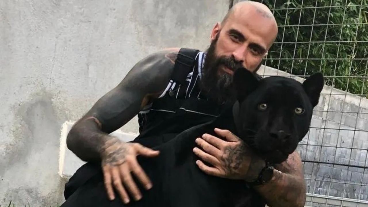 Encuentra aquí el nombre de la pantera de Babo y descubre su ...