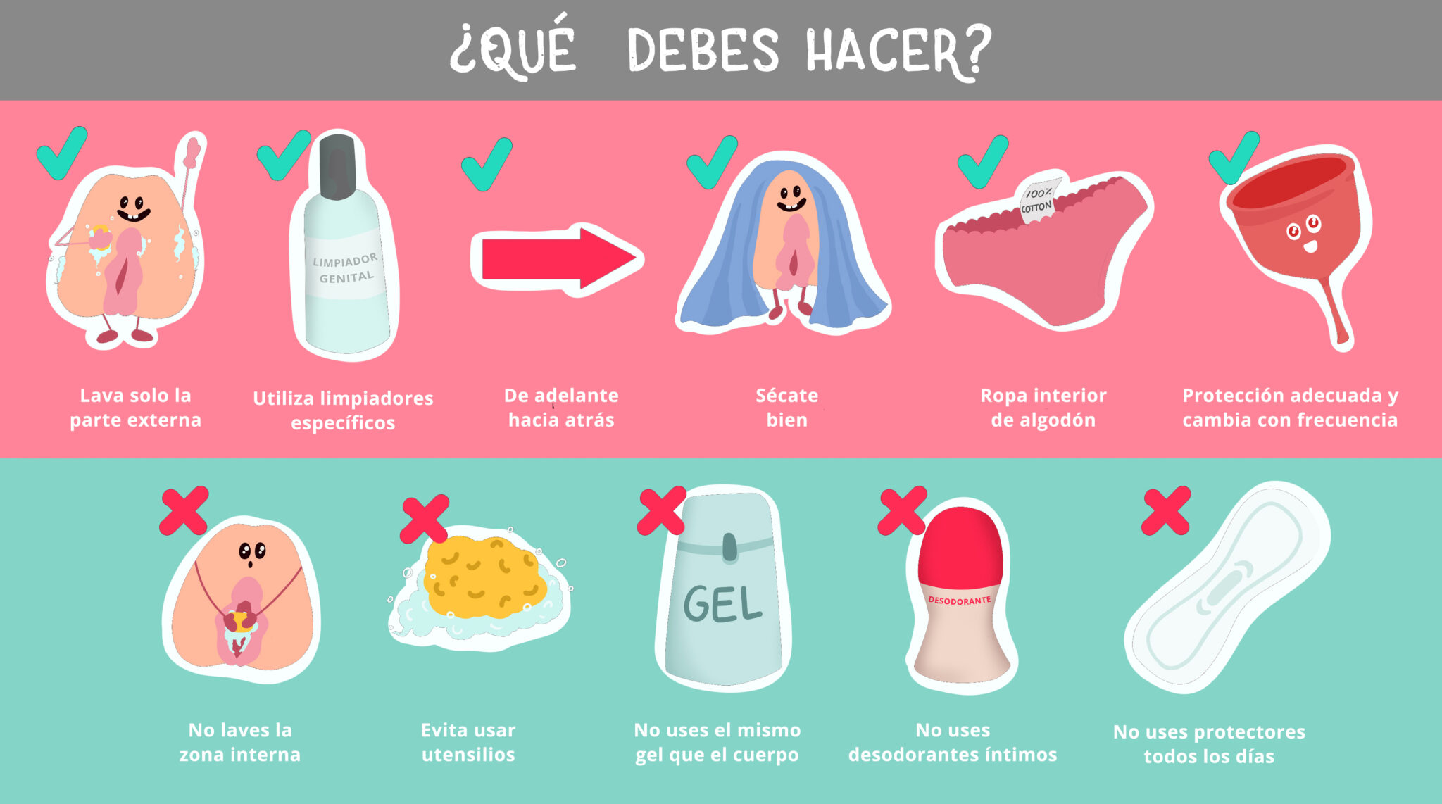 Descubre los 5 pasos para cuidar y limpiar adecuadamente la parte ...